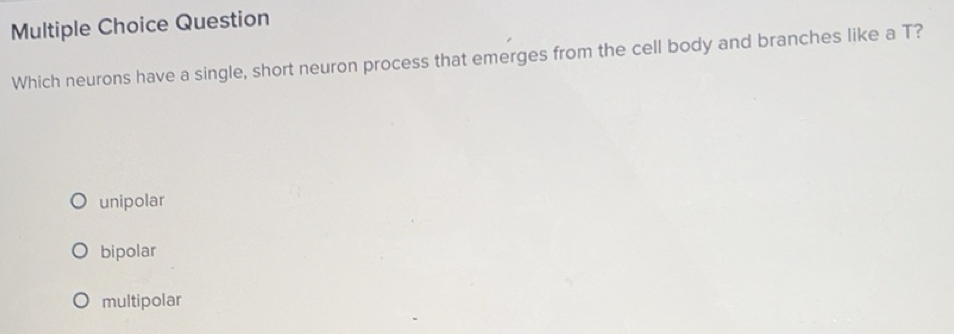 Solved: Question Which neurons have a single, short neuron process that ...