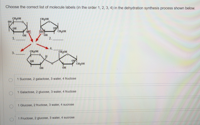 Solved: Choose the correct list of molecule labels (in the order 1, 2 ...