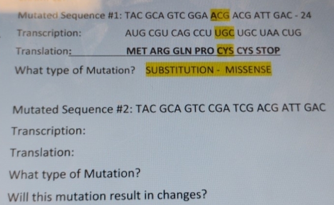 Solved: Mutated Sequence #1: TAC GCA GTC GGA ACG ACG ATT GAC - 24 ...