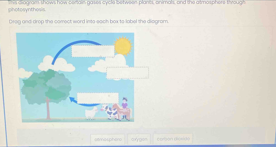 Solved: This diagram shows how certain gases cycle between plants ...
