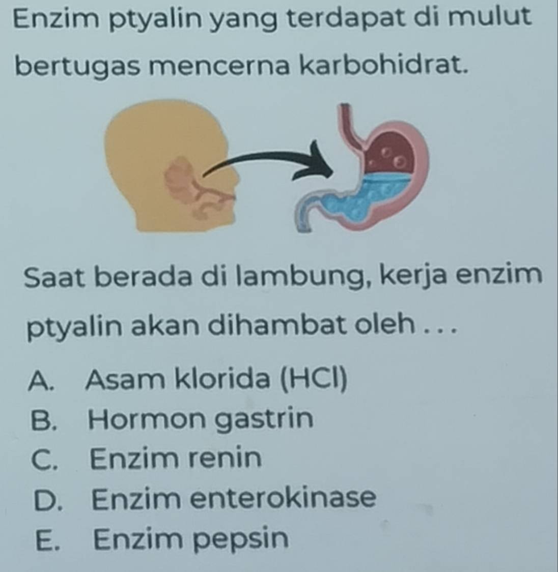 Telah dijawab:Enzim ptyalin yang terdapat di mulut bertugas mencerna ...