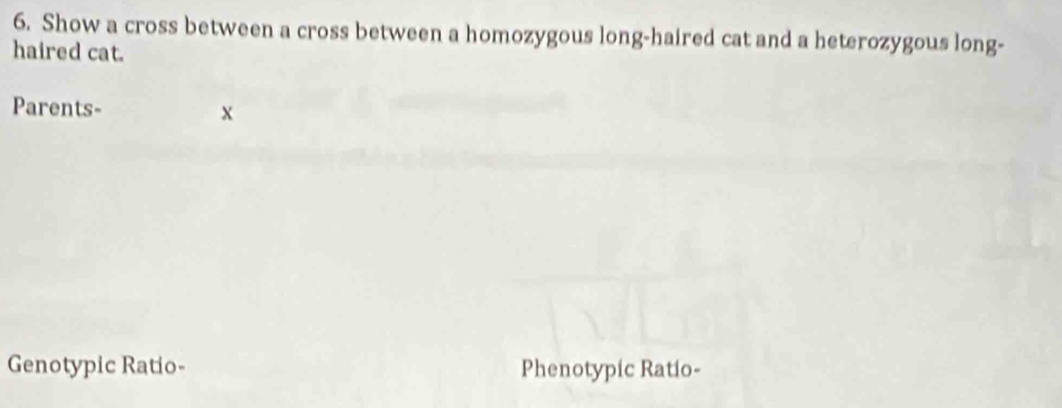 Solved: Show a cross between a cross between a homozygous long-haired ...
