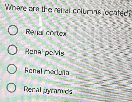 Solved: Where are the renal columns located? Renal cortex Renal pelvis ...