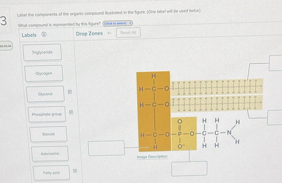 Solved: Label the components of the organic compound illustrated in the ...