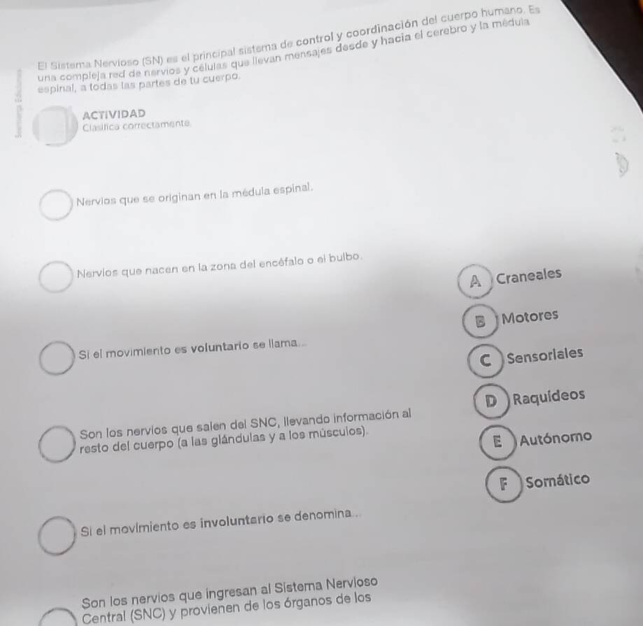 Resuelto:El Sistema Nervioso (SN) es el principal sistema de control y ...