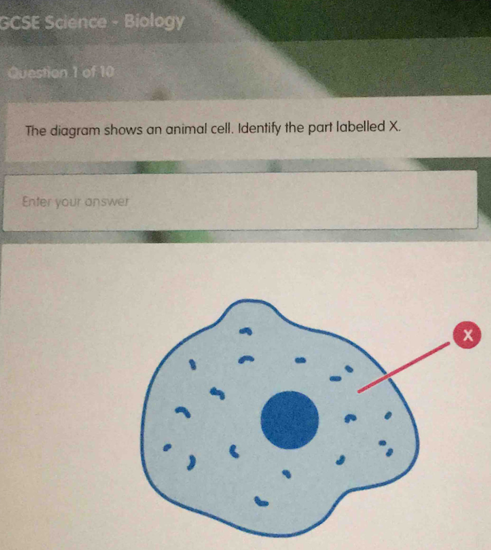 Solved: GCSE Science - Biology Question 1 of 10 The diagram shows an animal cell. Identify the p ...