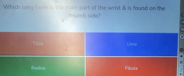 Solved: Which long bone is the main part of the wrist & is found on the ...