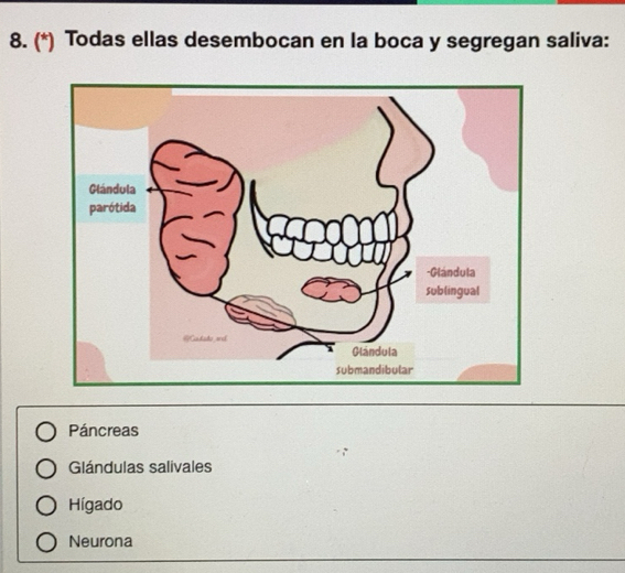 Resuelto:(*) Todas ellas desembocan en la boca y segregan saliva ...