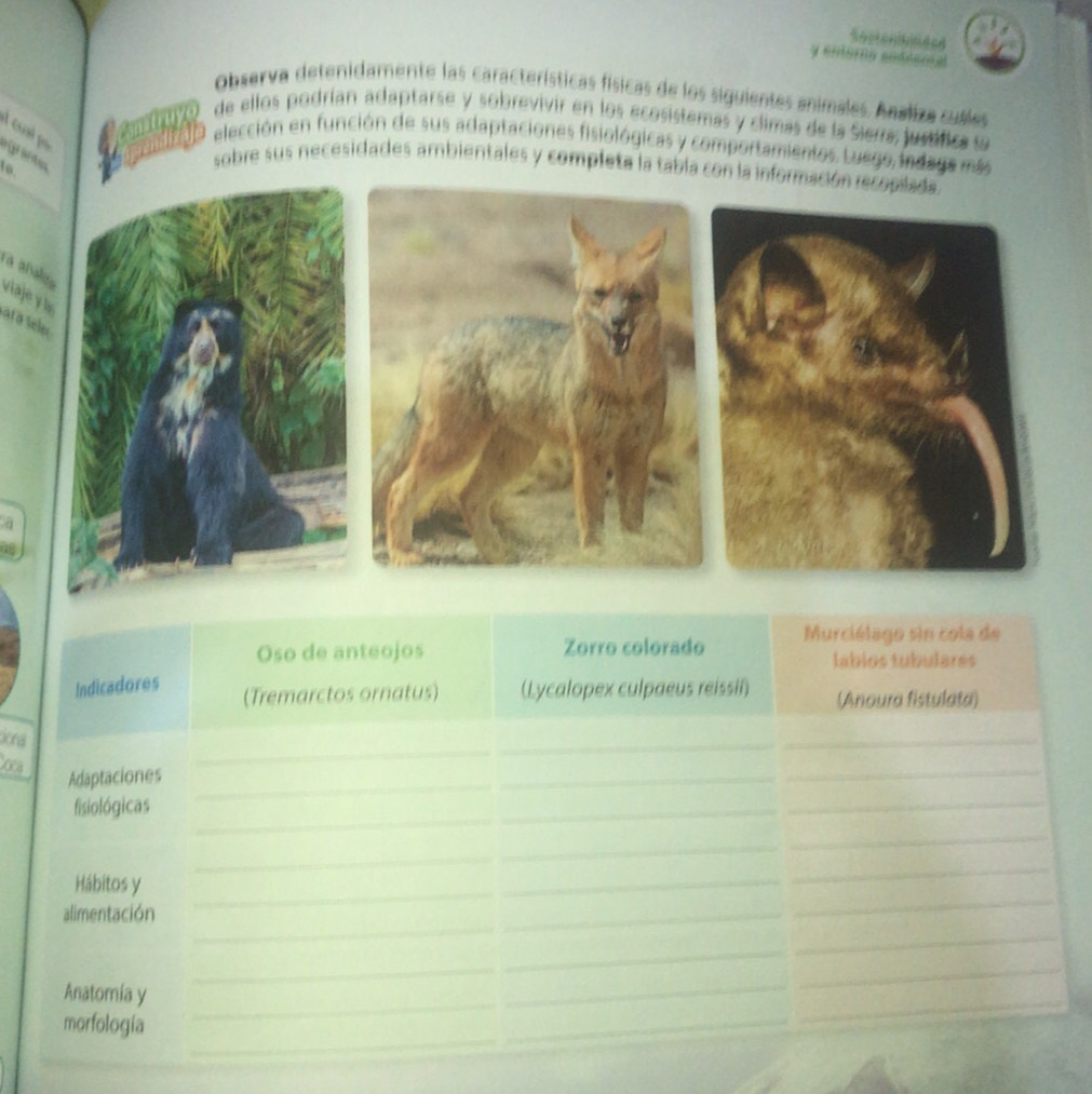 Resuelto:Observa detenidamente las características físicas de los ...