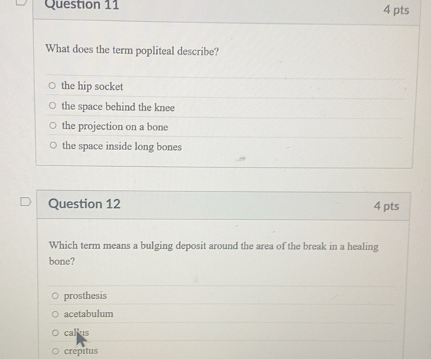 Solved: What does the term popliteal describe? the hip socket the space behind the knee the ...
