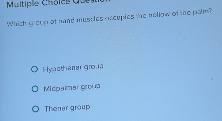 Solved: Que Which group of hand muscles occupies the hollow of the palm ...