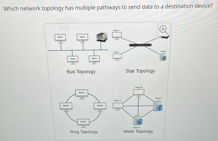 Solved: Which network topology has multiple pathways to send data to a ...
