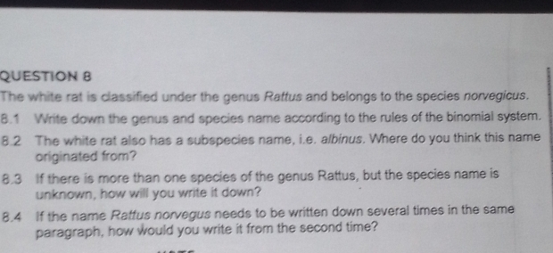 Solved: The white rat is classified under the genus Rattus and belongs ...