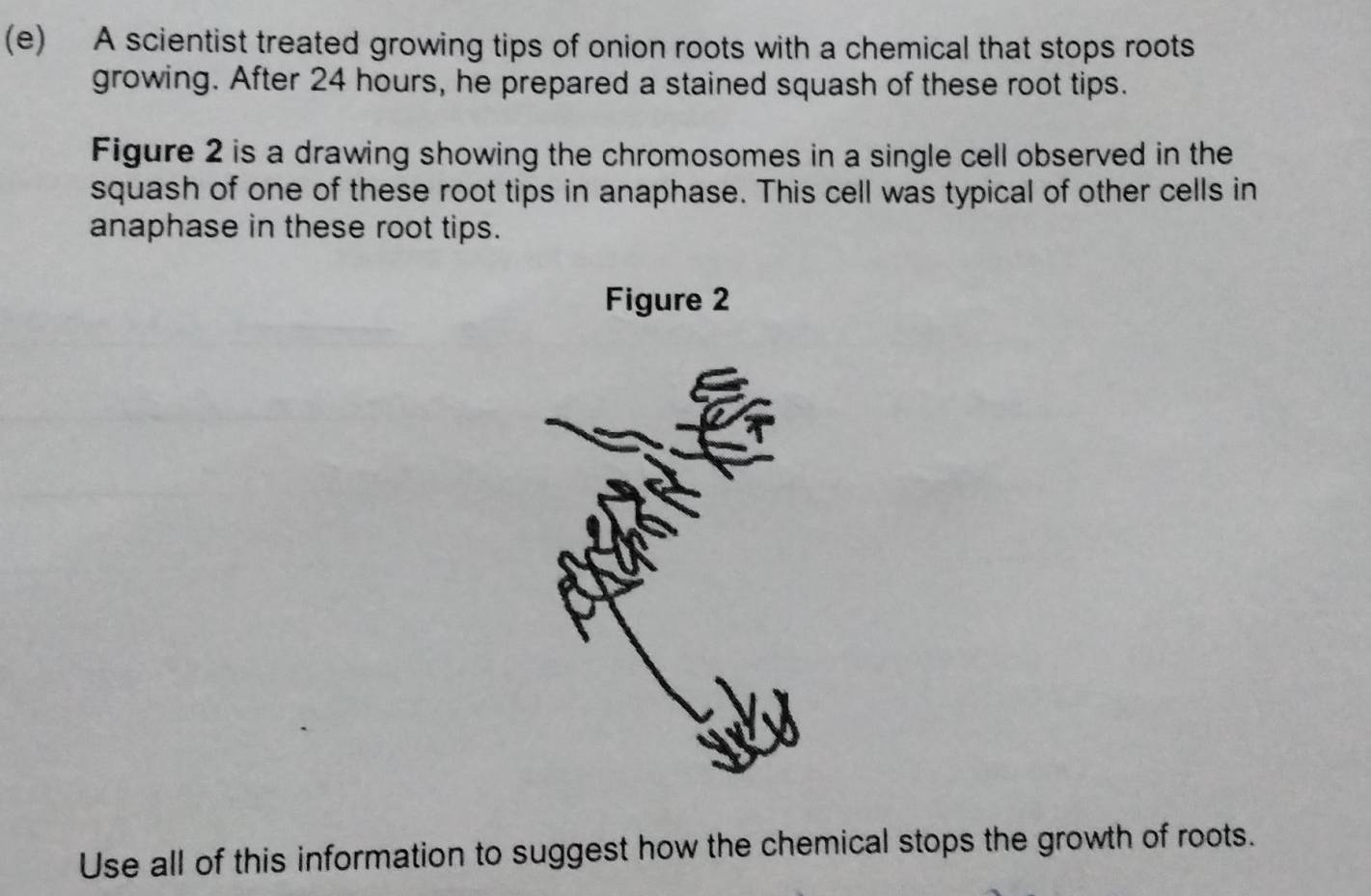 Solved: A scientist treated growing tips of onion roots with a chemical ...