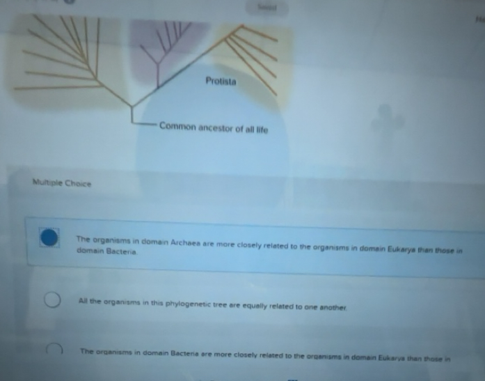 Solved: The organisms in domain Archaea are more closely related to the ...