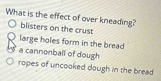 Solved: What is the effect of over kneading? blisters on the crust ...