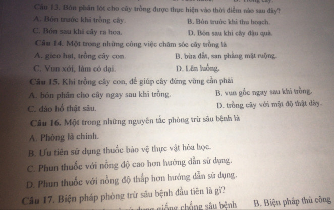 Giải quyết:Bón phân lót cho cây trồng được thực hiện vào thời điểm nào ...