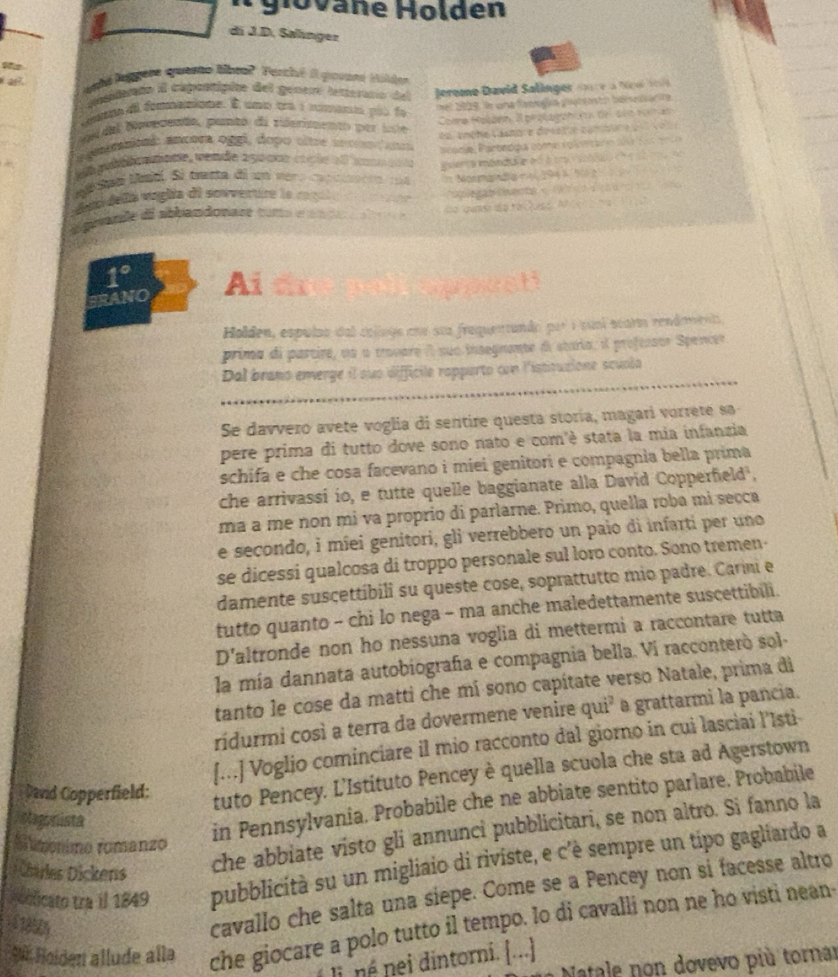 Risolto:ane Holden di J.D. Salınger eg leggere quento libto? Ferché I ...