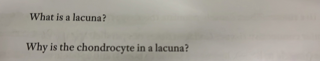 Solved: What is a lacuna? Why is the chondrocyte in a lacuna? [Biology]