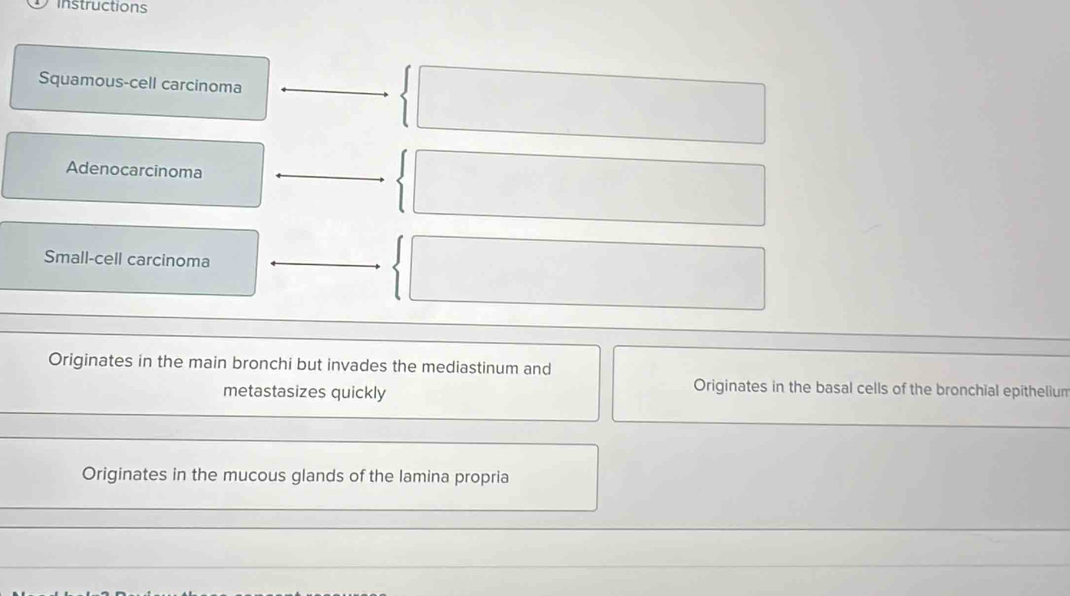 Solved: instructions Squamous-cell carcinoma Adenocarcinoma Small-cell ...