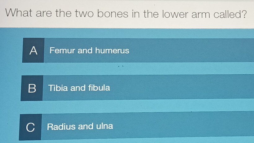 Solved: What are the two bones in the lower arm called? A Femur and ...
