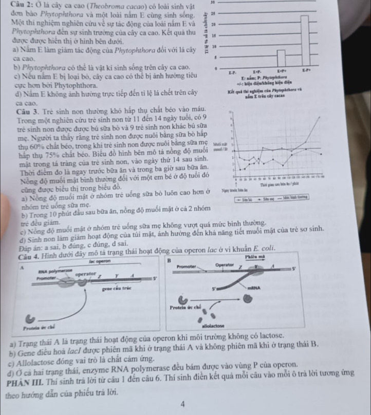 Giải quyết:Ở là cây ca cao (Theobroma cacao) có loài sinh vật , đơn bào ...