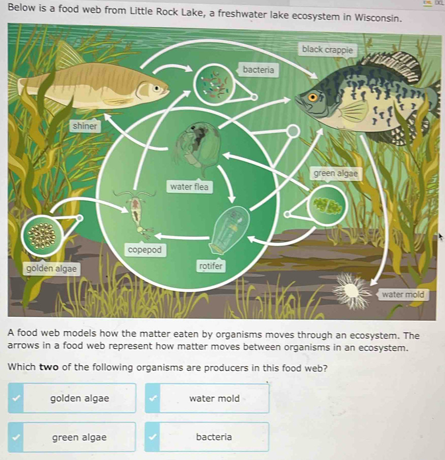 Below is a food web from Little Rock Lake, a freshwater lake ecosystem ...