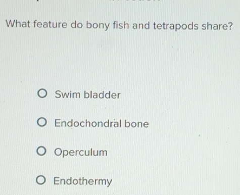 Solved: What feature do bony fish and tetrapods share? Swim bladder ...