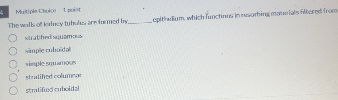 Solved: The walls of kidney tubules are formed by_ epithelium, which functions in resorbing ...
