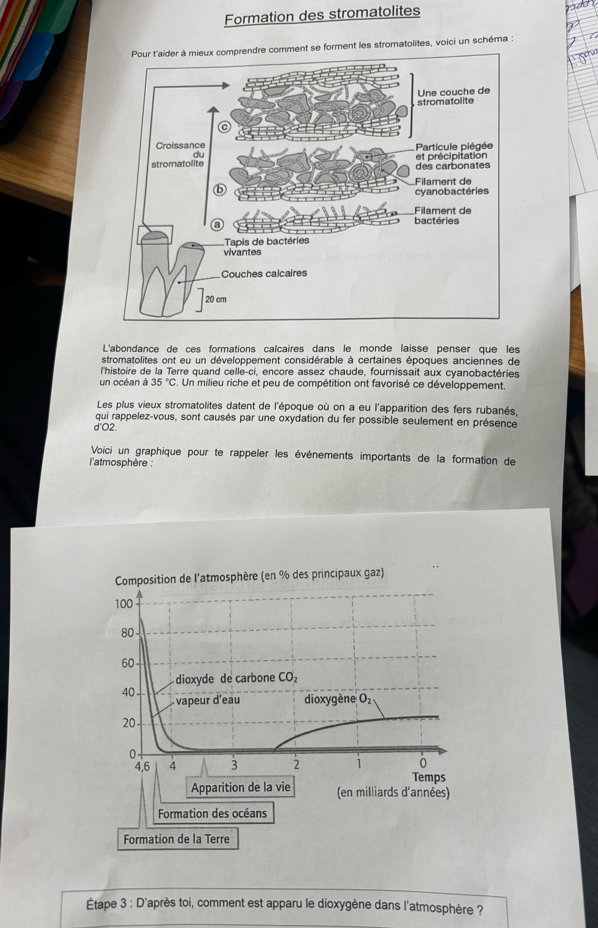 Résolu :Formation des stromatolites Pour t'aider à mieux comprendre ...