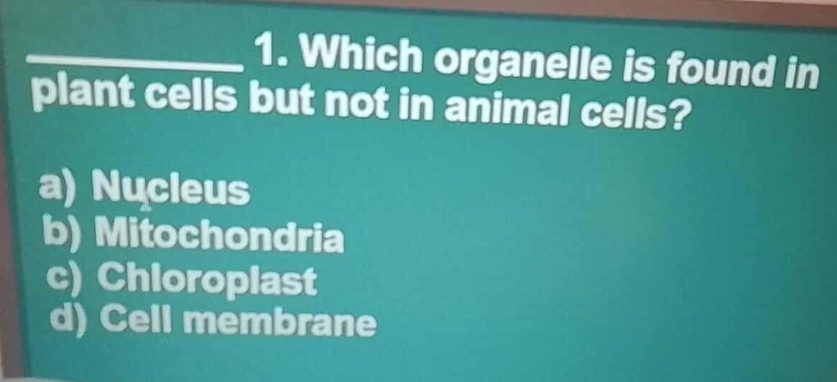 Solved: Which organelle is found in plant cells but not in animal cells ...