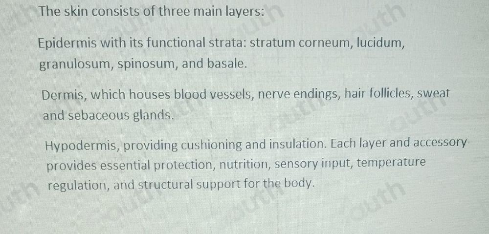 Solved: Using a diagram, sketch the 3 main layers of the skin, show the ...