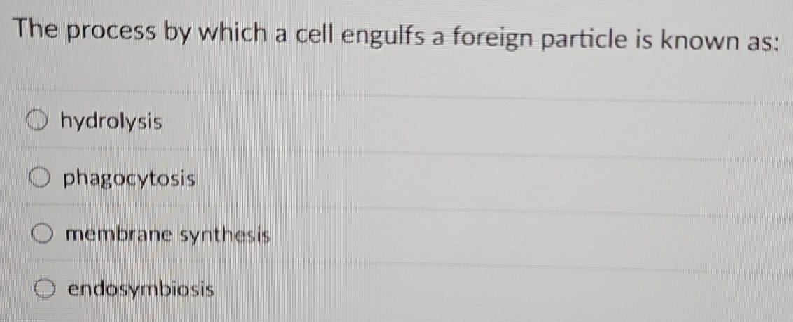 Solved: The process by which a cell engulfs a foreign particle is known ...