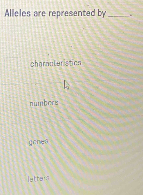Solved: Alleles are represented by_ . characteristics numbers genes ...