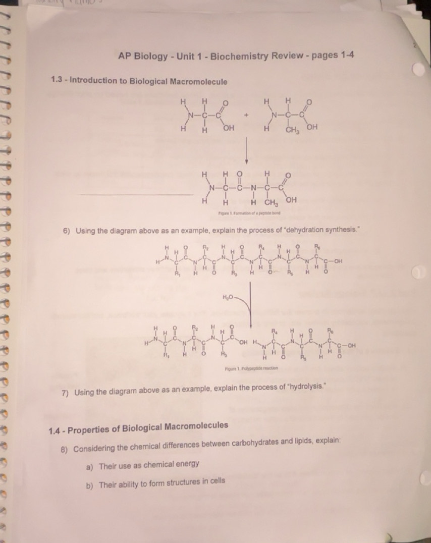 Solved: AP Biology - Unit 1 - Biochemistry Review - pages 1-4 1.3 ...