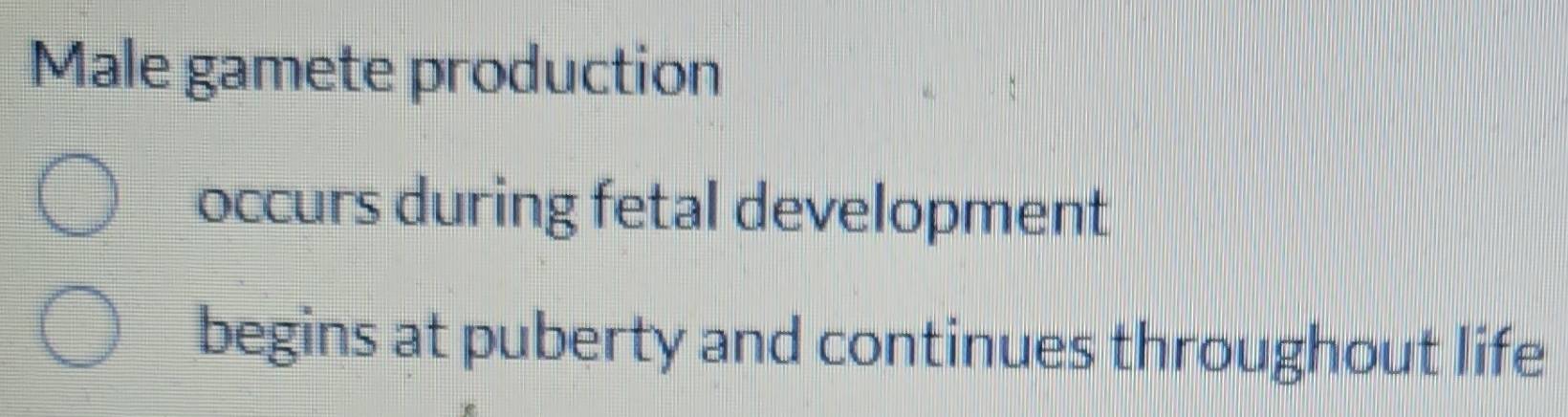 Solved: Male gamete production occurs during fetal development begins ...