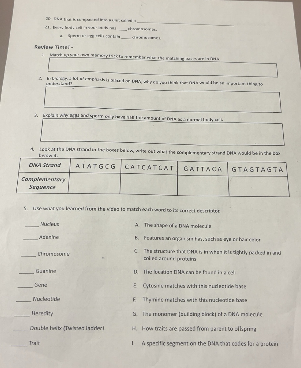 Solved: DNA that is compacted into a unit called a 21. Every body cell ...