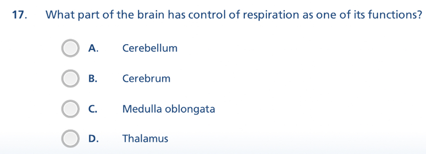 Solved: What part of the brain has control of respiration as one of its ...