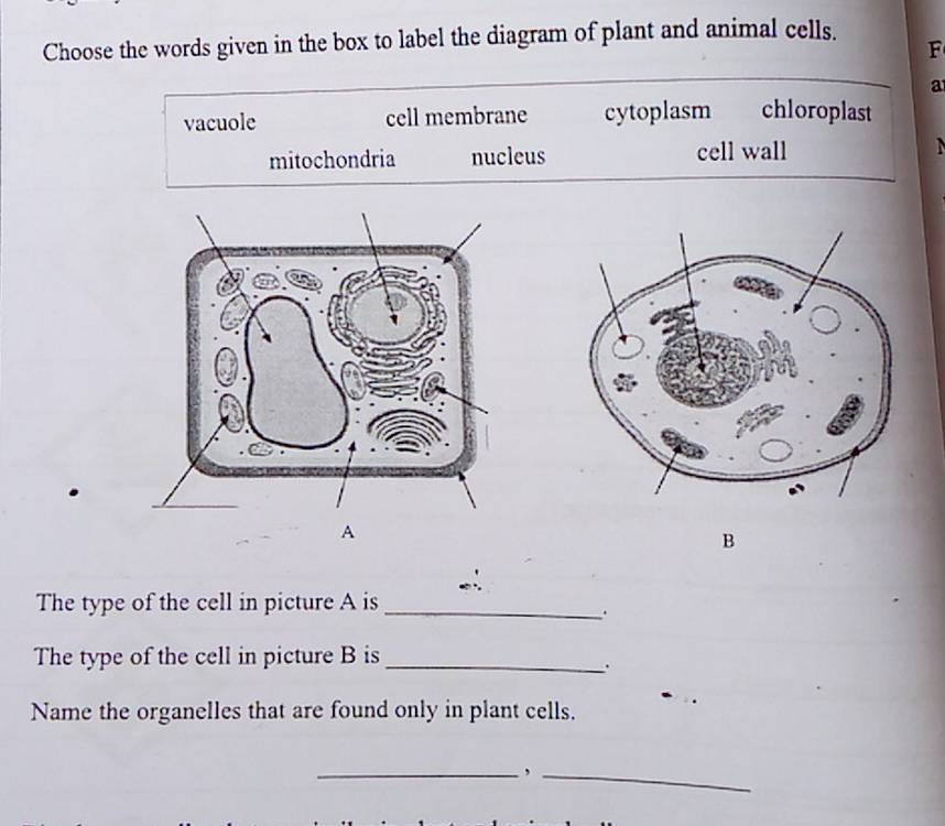Solved: Choose the words given in the box to label the diagram of plant ...