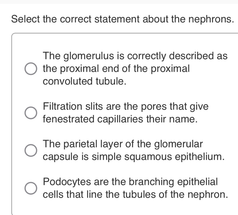 Solved: Select the correct statement about the nephrons. The glomerulus ...