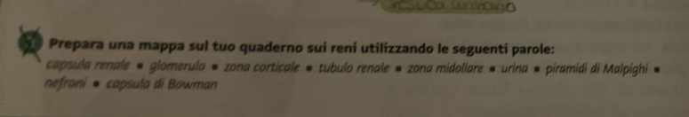 Risolto:Prepara una mappa sul tuo quaderno sui reni utilizzando le ...