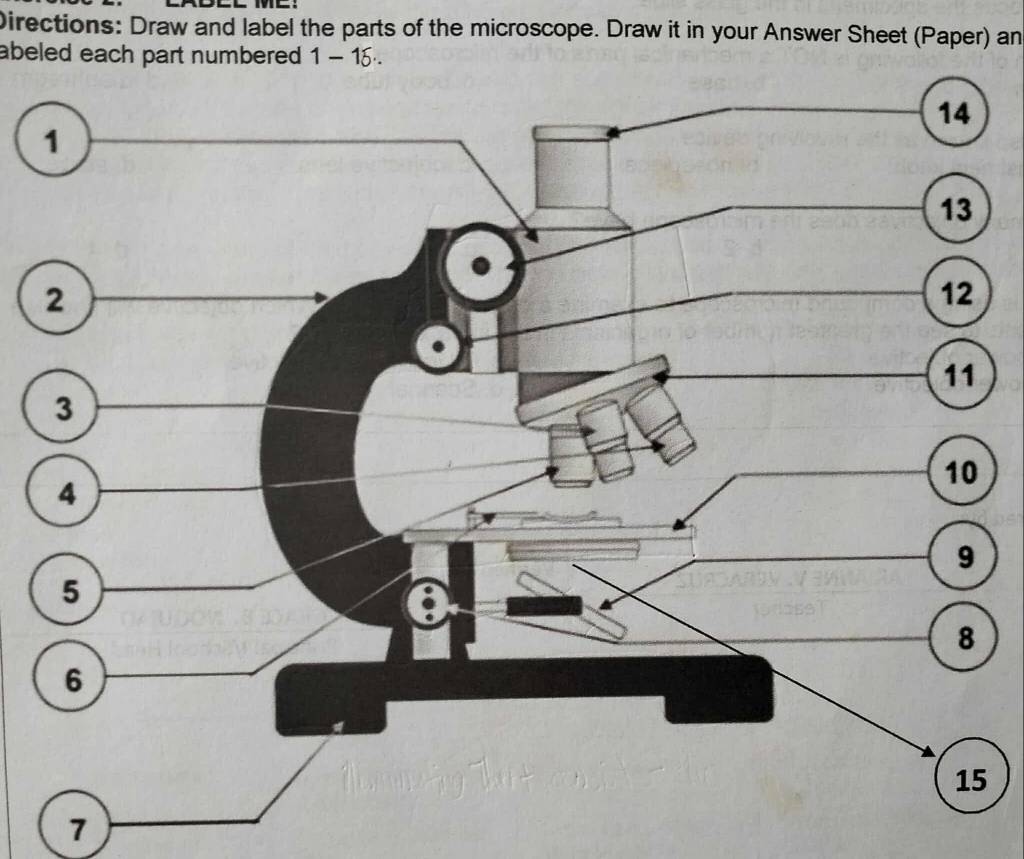 Solved: Directions: Draw and label the parts of the microscope. Draw it ...