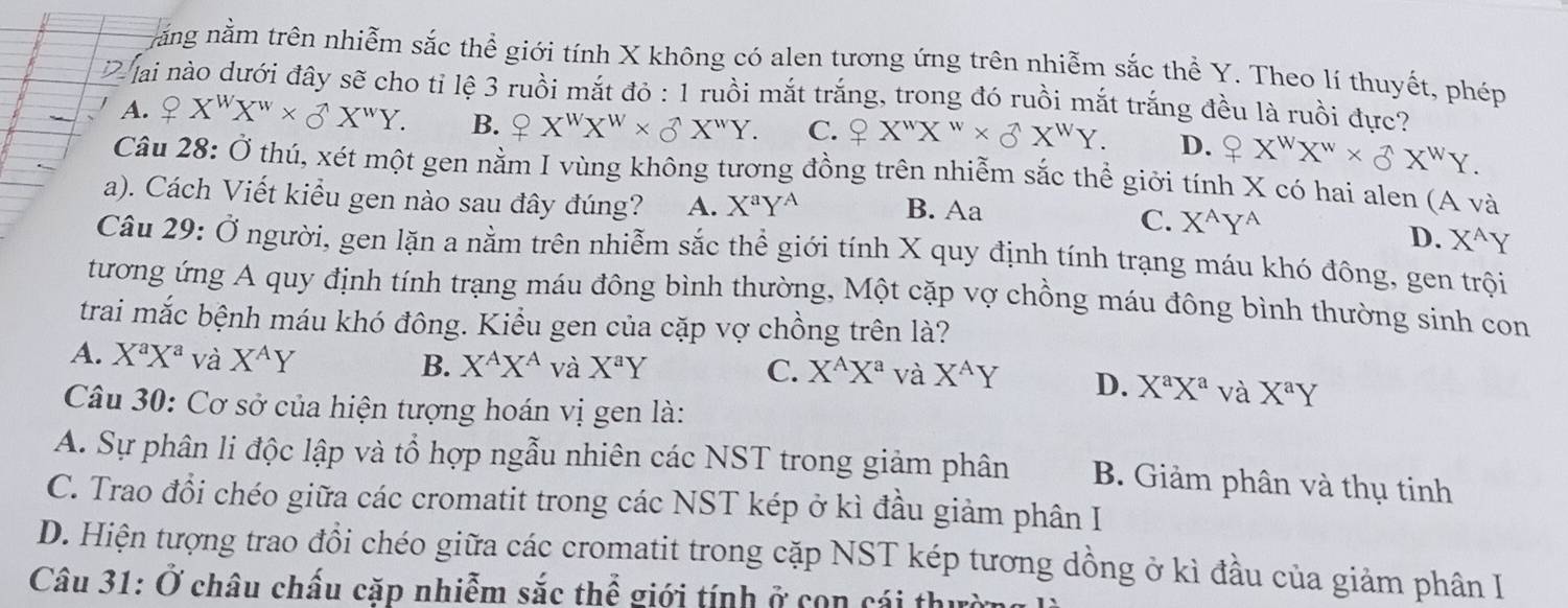 Giải quyết:nằng nằm trên nhiễm sắc thể giới tính X không có alen tương ứng trên nhiễm sắc thể Y ...