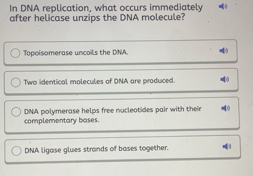 Solved: In DNA replication, what occurs immediately D after helicase ...