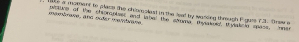 Solved: lake a moment to place the chloroplast in the leaf by working ...