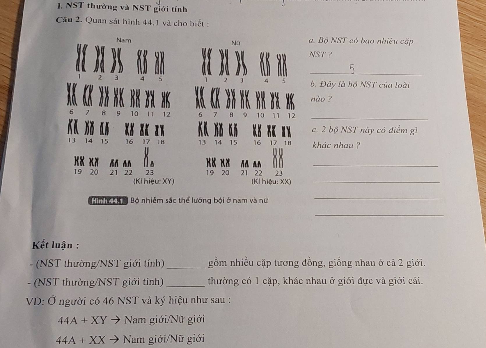Giải quyết:NST thường và NST giới tính Câu 2. Quan sát hình 44.1 và cho biết : Nam Nữ a. Bộ NST có