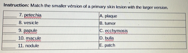 Solved: Instruction: Match the smaller version of a primary skin lesion ...