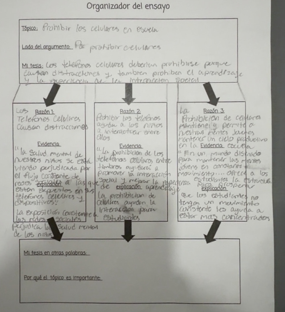 Solved: Organizador del ensayo Tópico: Lado del argumento: Mi tesis ...