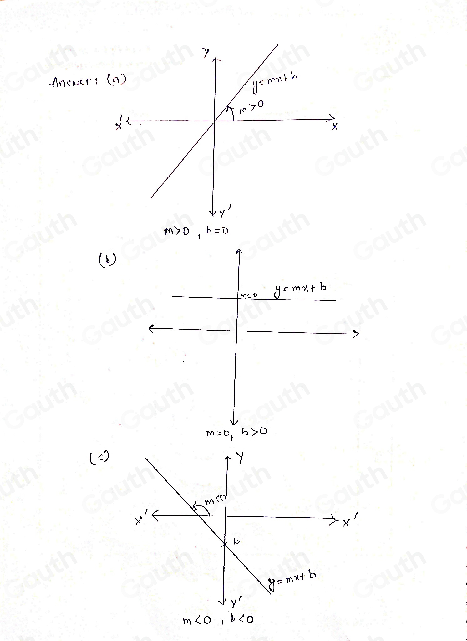 Solved: Given the Slope-Intercept form of a line y=mx+b , sketch a line ...