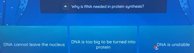 Solved: Why is RNA needed in protein synthesis? DNA cannot leave the ...